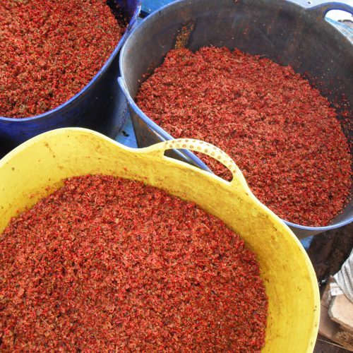 Mountain Ash / Rowan Seed - Forestart